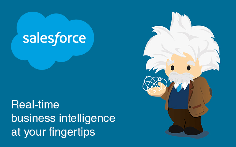 A Que Se Dedica Salesforce Einstein Hub Salesforce Guide Vrogue